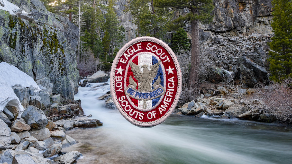 50+ Eagle project ideas that have a conservation focus – Spilled Milk